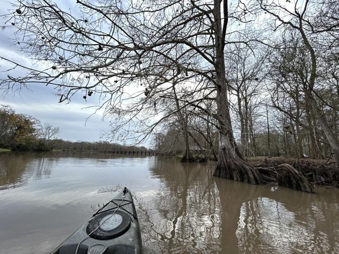 Lake Fausse Pointe State Park: A spot for experiencing the tame part of ...