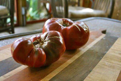 Celebrating the Creole Tomato | The Latest | theadvocate.com