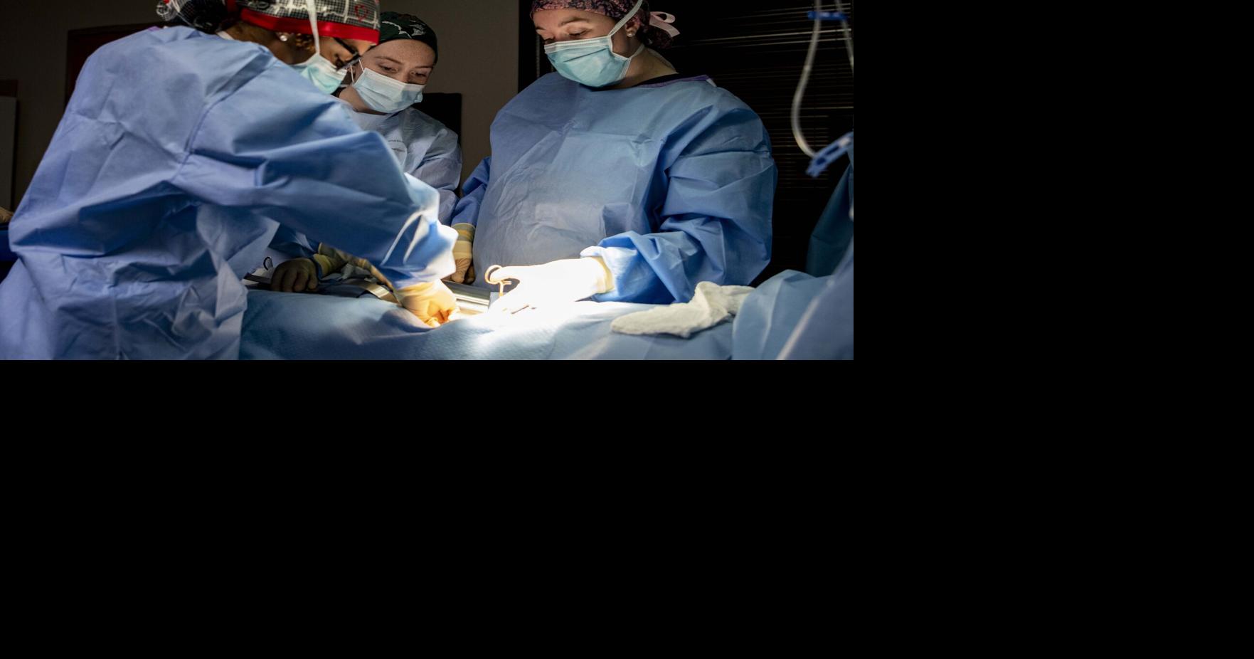 LSU Eunice drives innovation in healthcare education with growth of ...