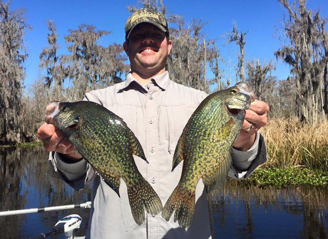 3 hotspots for sac-a-lait this weekend | Louisiana Outdoors ...