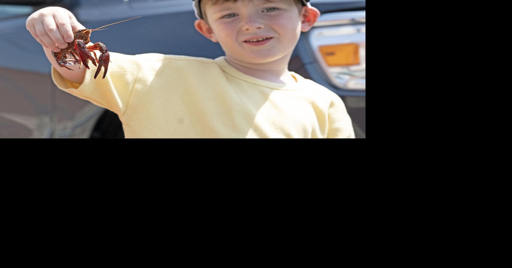 Summer drought takes toll on Louisiana crawfish season | Business ...