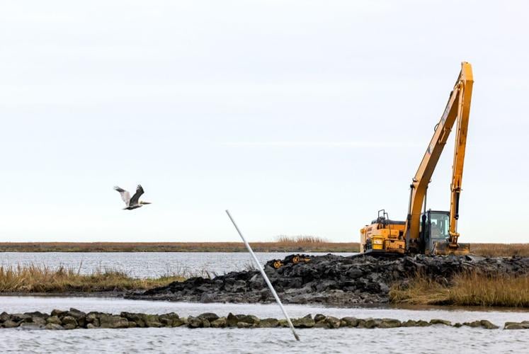 Louisiana’s biggest marsh creation project showcased | Environment ...