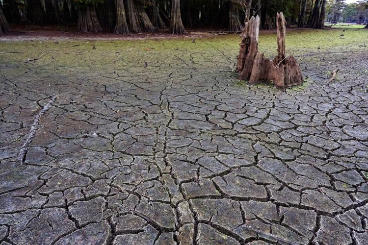 Atchafalaya Basin water level hit historic lows last month | Business ...