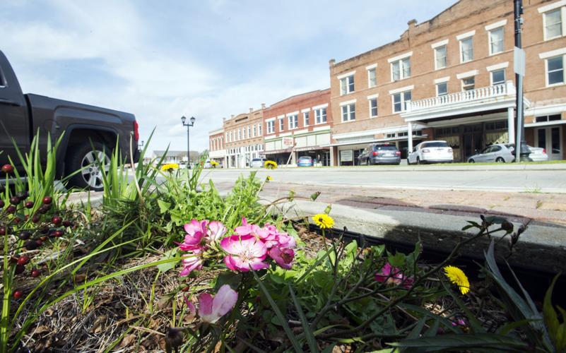 Grand revitalization: With the Grand Opera House of the South as an ...