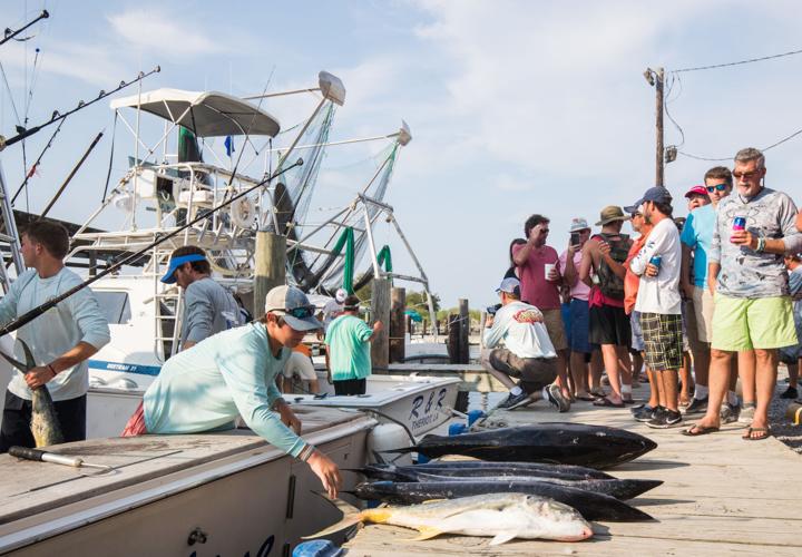 Grand Isle Tarpon Rodeo finishes with enormous 208-pound tarpon ...
