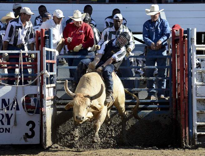 Photos: Angola Prison Rodeo Celebrates 50th Anniversary | News ...