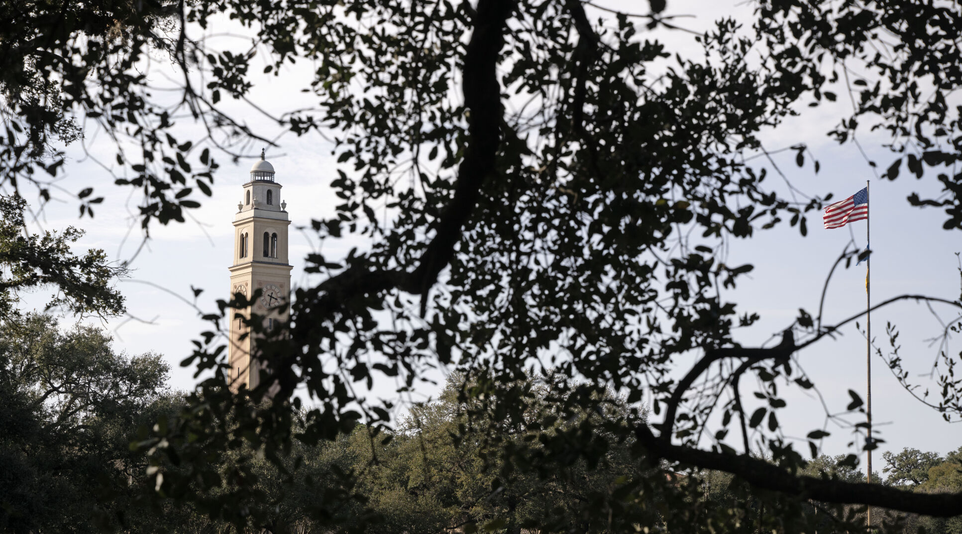 LSU students push for broader, more accessible AI education | Education ...