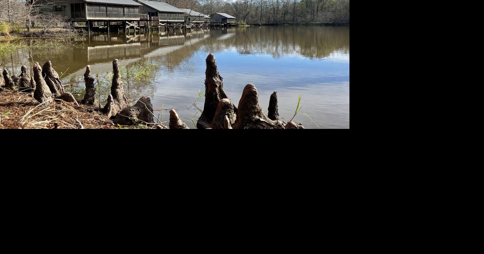 Soak in swamp life at Lake Fausse Pointe State Park | Travel ...