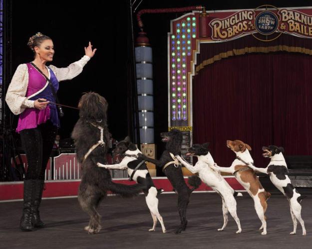 Circus animal trainer talks about life with her four-legged family ...