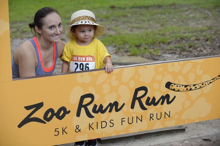 Photos: 'Zoo Run Run' 5k, fun run benefits cheetah conservation and ...