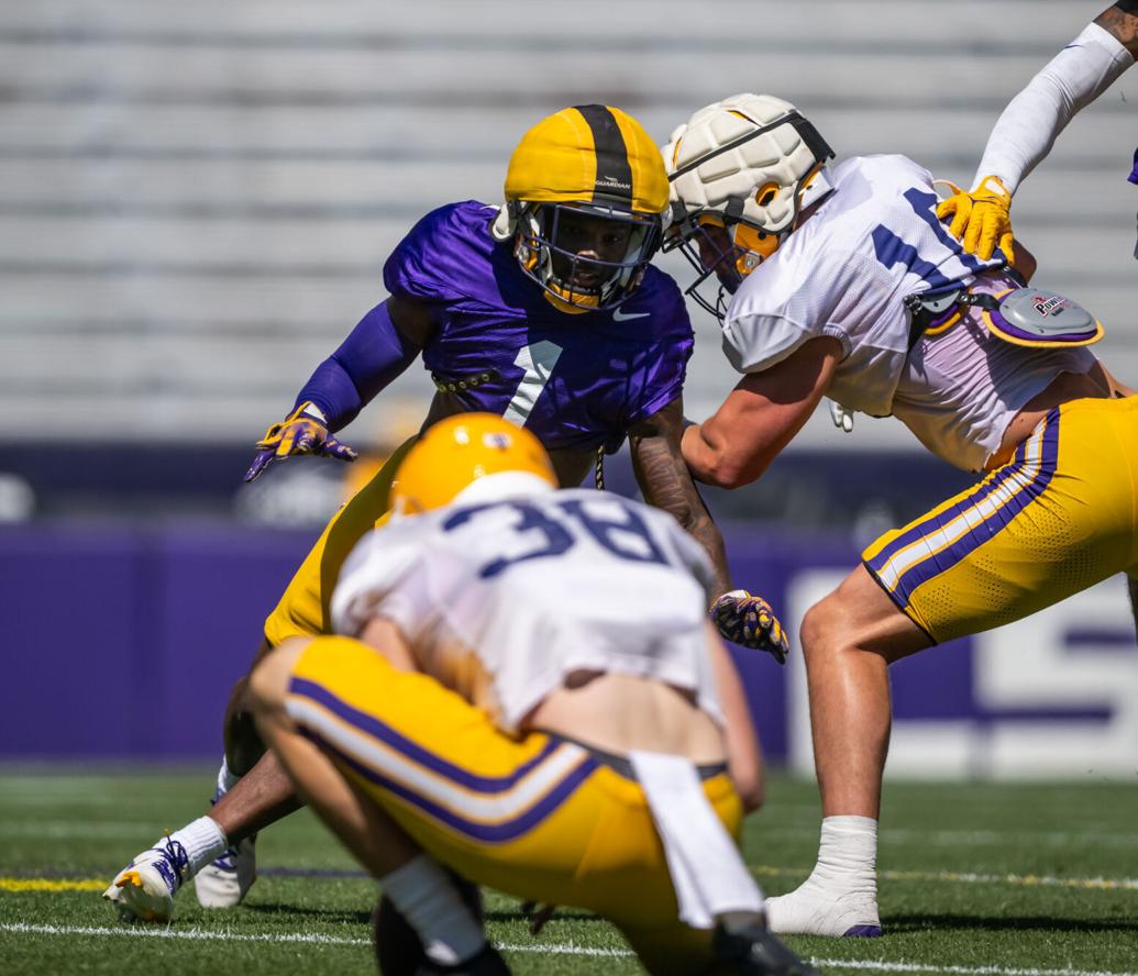 Ashton Stamps, LSU football cornerback leaves team | LSU | theadvocate.com