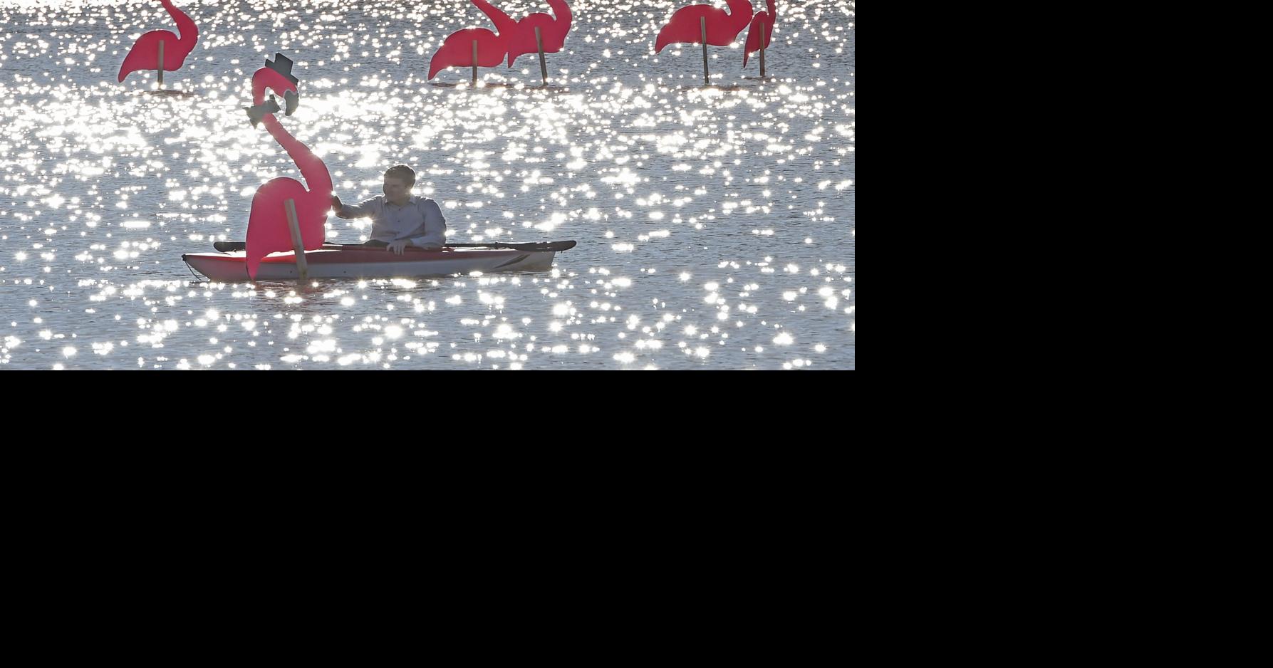 Smiley: Time for Flamingo Challenge? | Smiley Anders | theadvocate.com