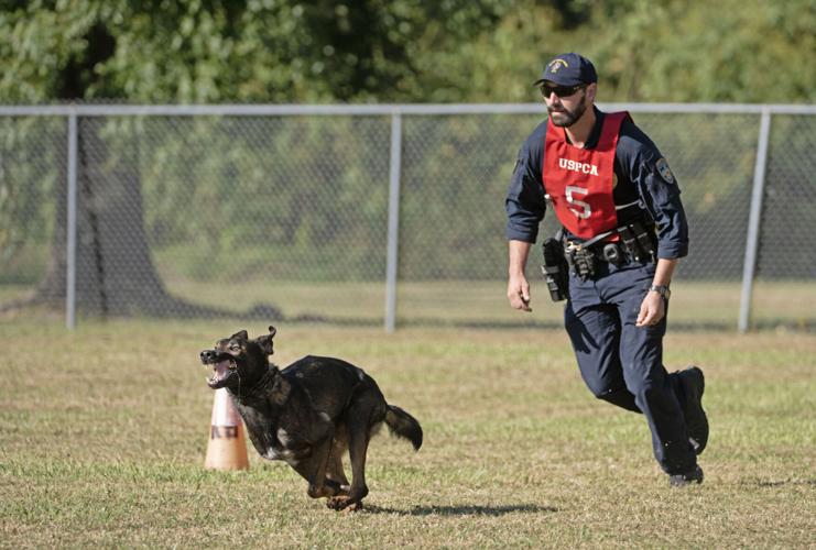 K-9s compete at USPCA National Field Trials in Baton Rouge | Crime ...