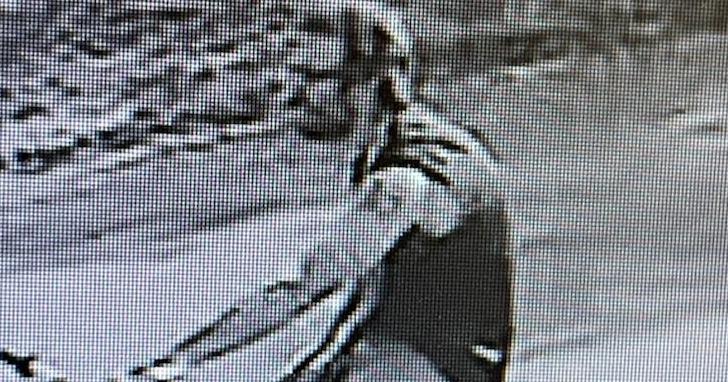 Bike-riding assailant in custody after allegedly shooting 39-year-old ...