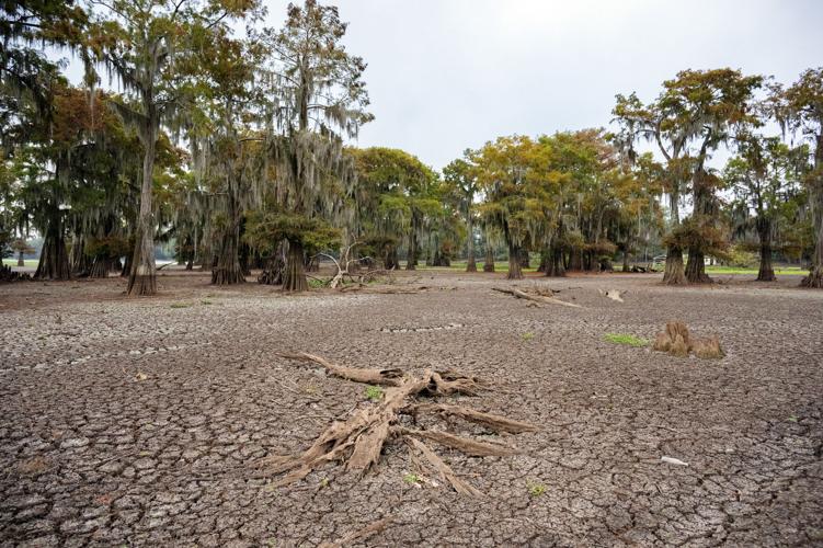 Atchafalaya Basin water level hit historic lows last month | Business ...