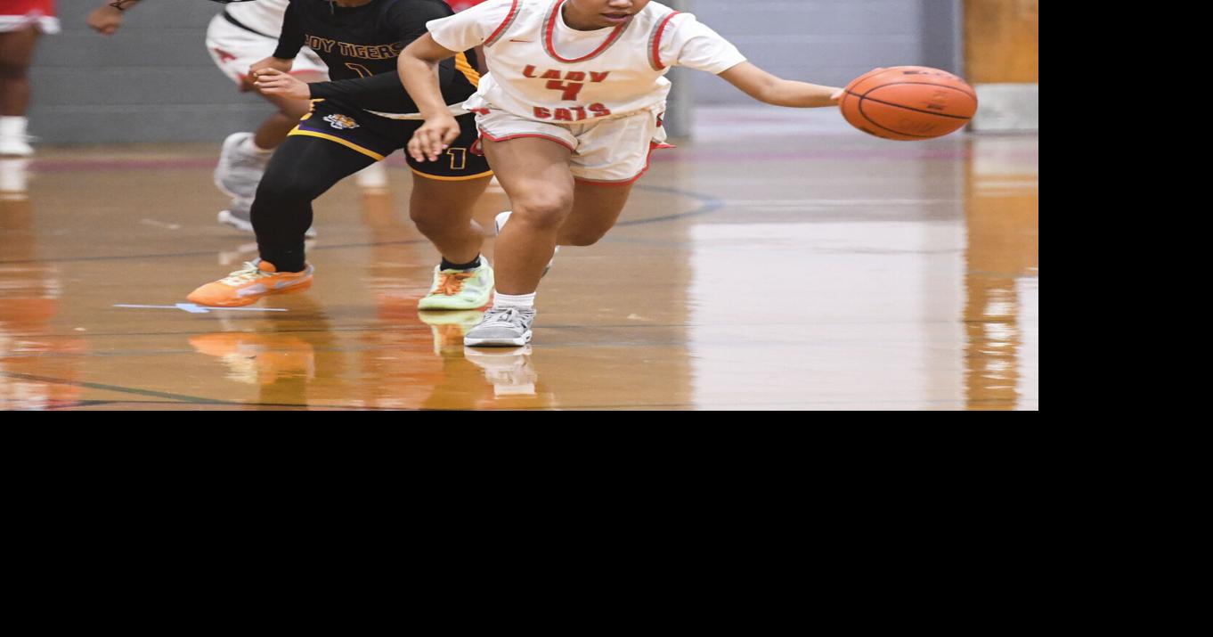 Area high school girls basketball state playoff results and matchups ...