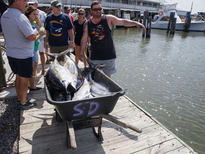 Photos: 2017 Grand Isle Tarpon Rodeo attracts big smiles and big fish ...