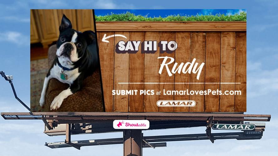 Local pets featured on Lamar billboards for Pet Month | Entertainment/Life | theadvocate.com