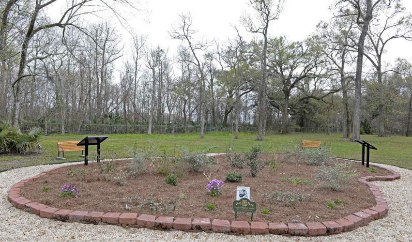 In the shadow of its chemical plant in Geismar, BASF creates a habitat ...