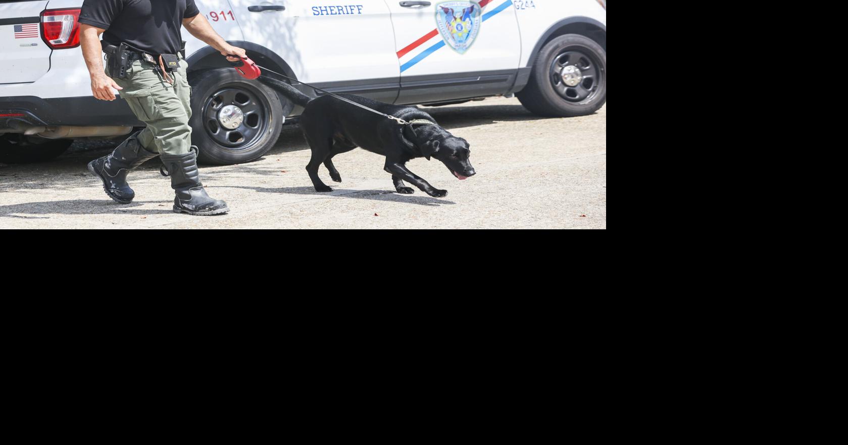 Army veterans can find jobs with State Police, Fire Marshal | News ...