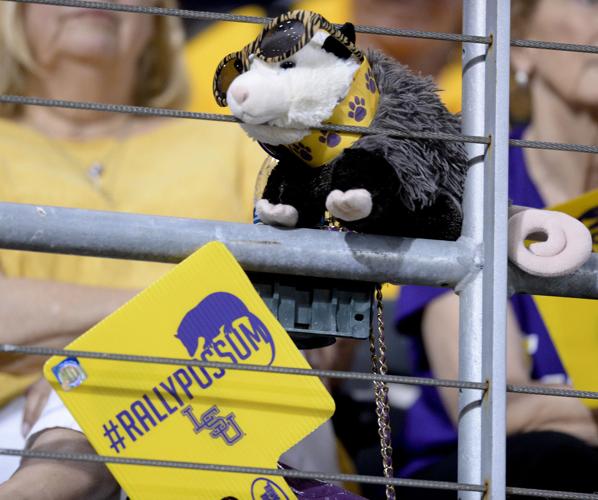 Rally Possum returns: LSU baseball's surprise mascot makes comeback, in ...