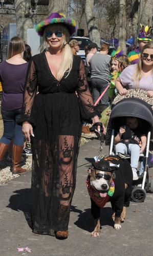 Costumed pets and their owners fill Sidney Hutchinson Park for Bark in ...