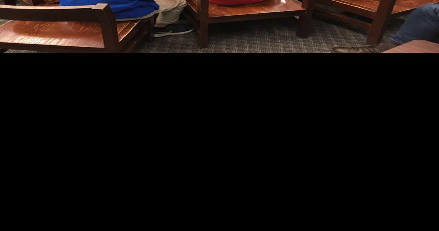 Bains Lower Elementary's Lighthouse team discusses goals ...