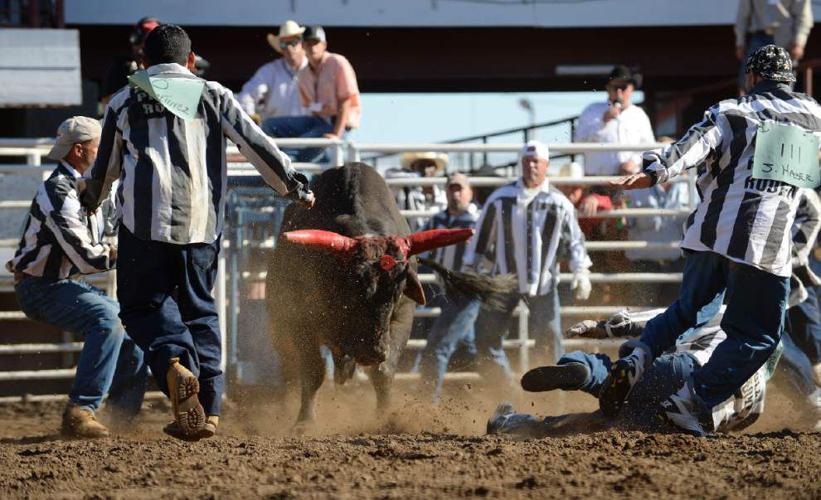 Photos: Angola Prison Rodeo Celebrates 50th Anniversary | News ...