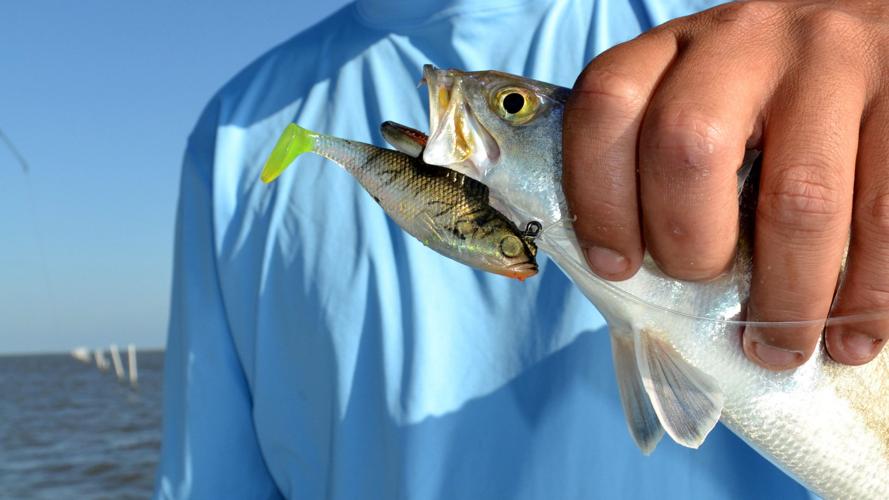 How not to catch fish: An idiot's guide | Louisiana Outdoors ...