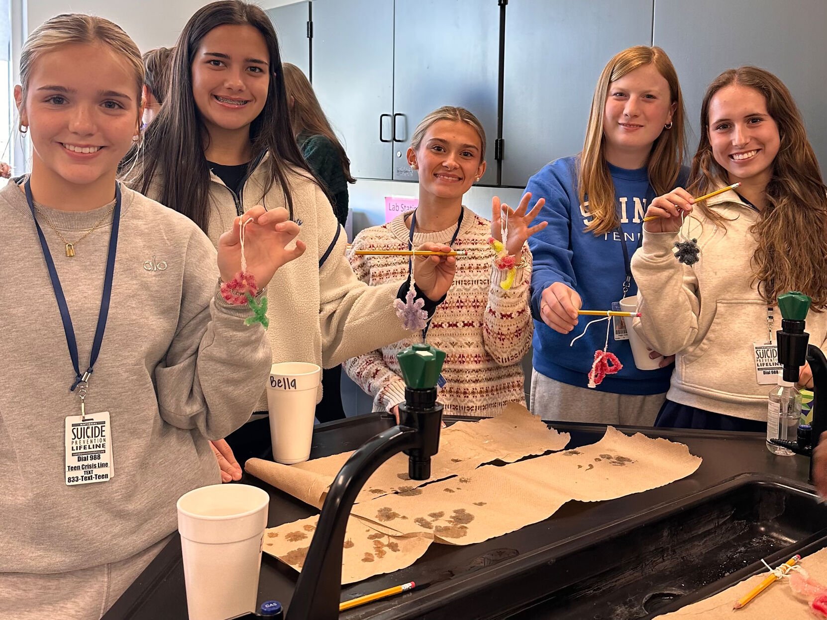 Holiday themed chemistry lesson creates ornaments | St. Francisville ...