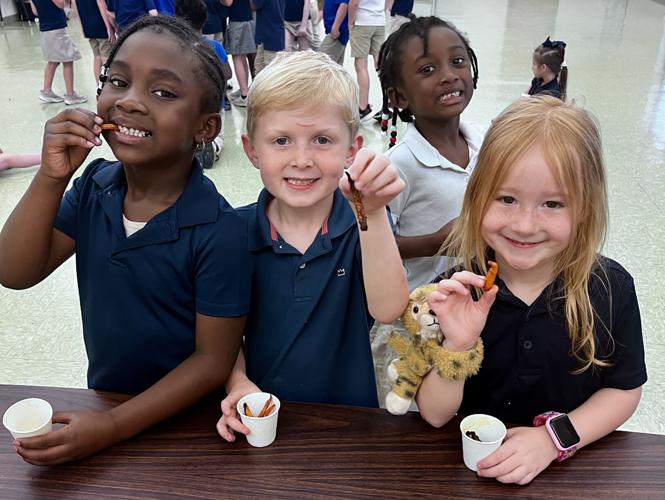 School garden and nutrition lessons help students at Bains Lower ...