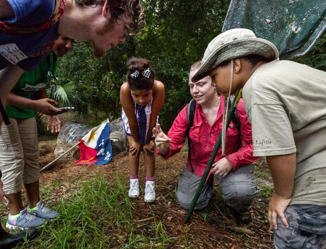 BioBlitz invades City Park to record its biological diversity ...