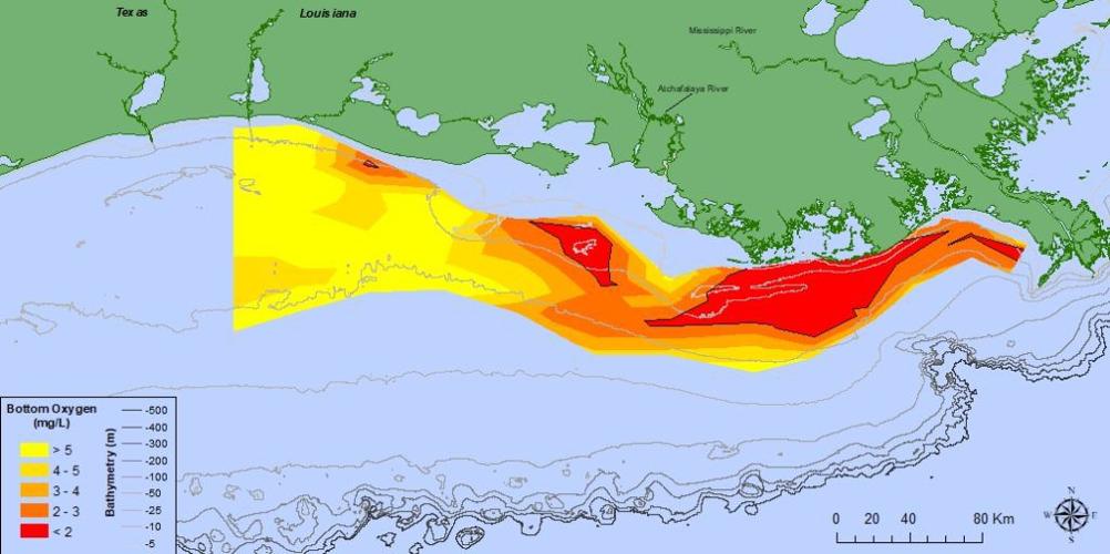 Gulf of Mexico 2018 'dead zone' smaller than expected, but still as big ...