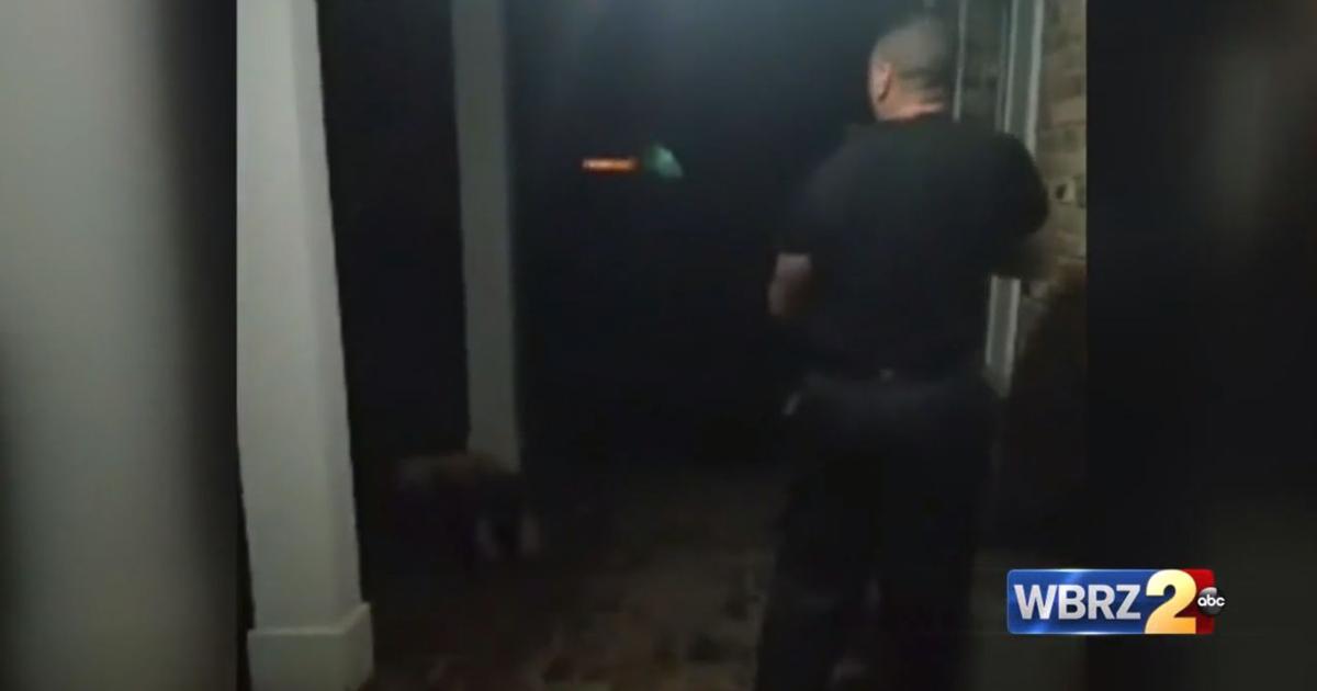 Report Baton Rouge Man Holds Would Be Burglar At Gunpoint Broadcasts