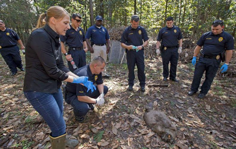 Hammond police officers, some a little squeamish, learn how to use ...