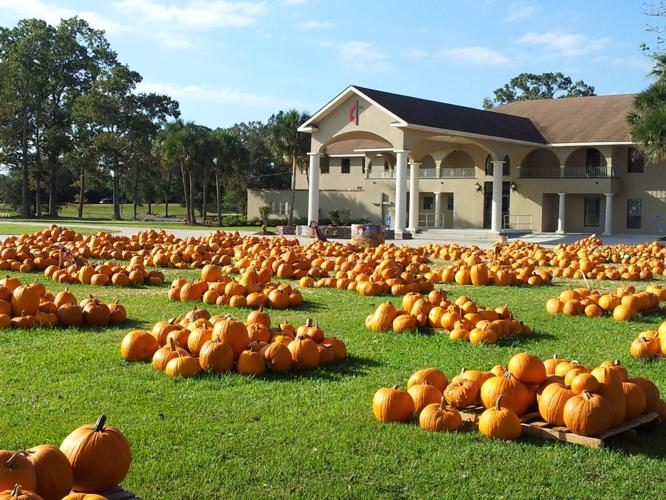 Find a pumpkin and your way out of a maze at these area events this ...