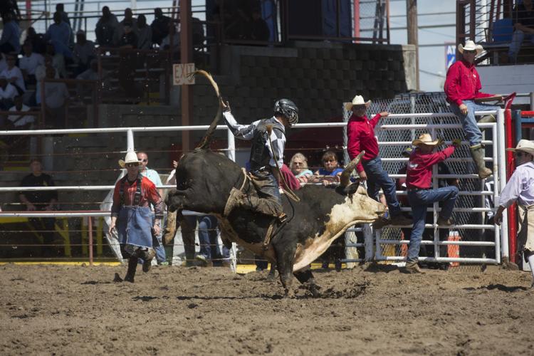 A day at the rodeo | St. Francisville | theadvocate.com