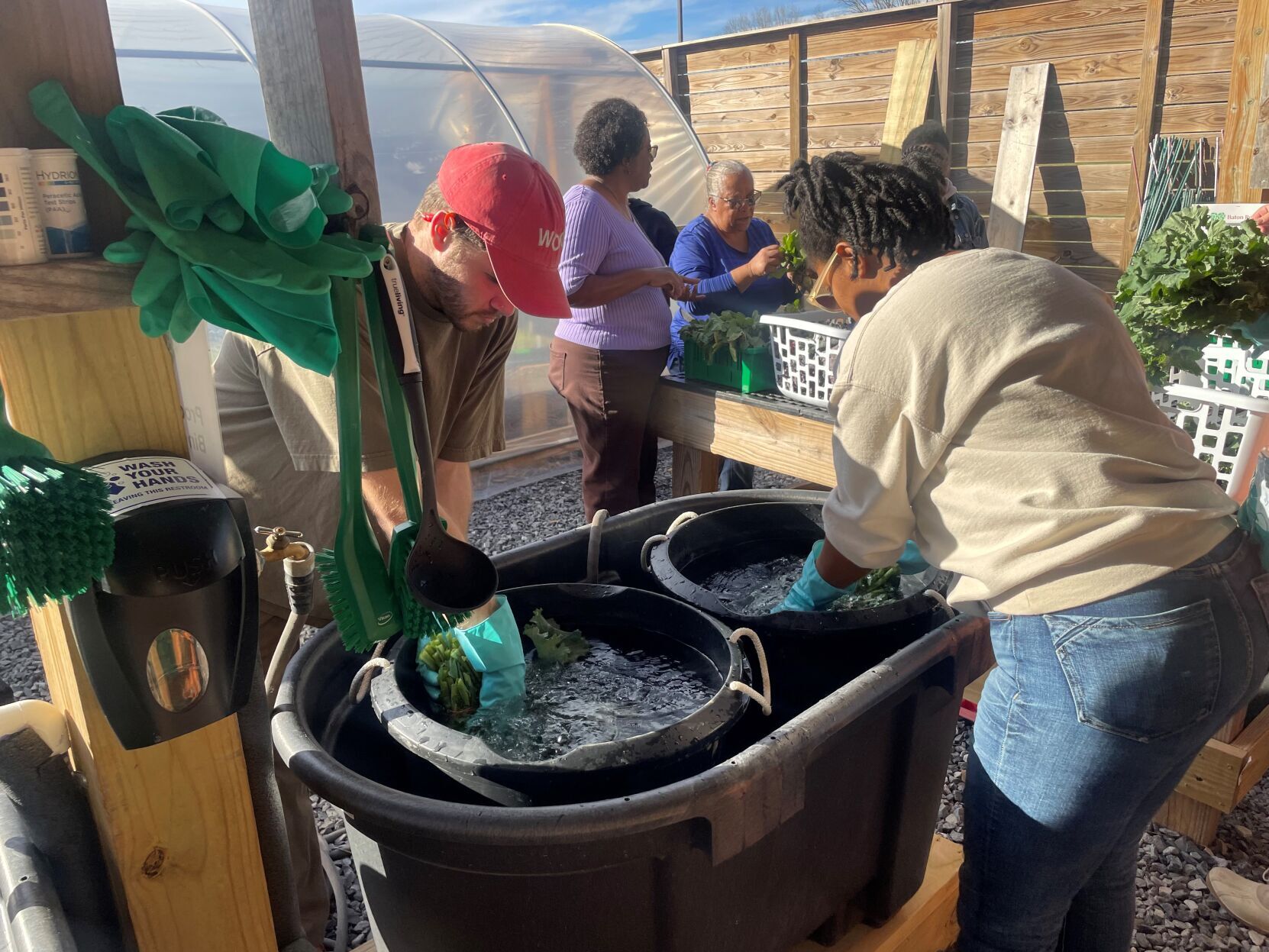 Baton Rouge community farm training new urban farmers | Louisiana ...