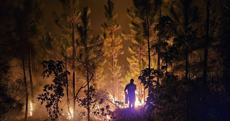 Baton Rouge firefighters fight Tiger Island blaze | News | theadvocate.com