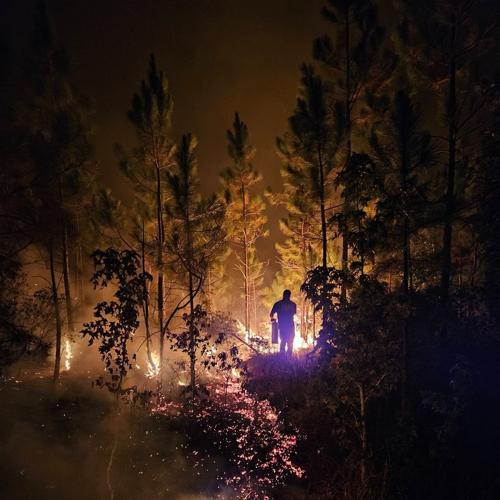 Baton Rouge firefighters fight Tiger Island blaze | News | theadvocate.com