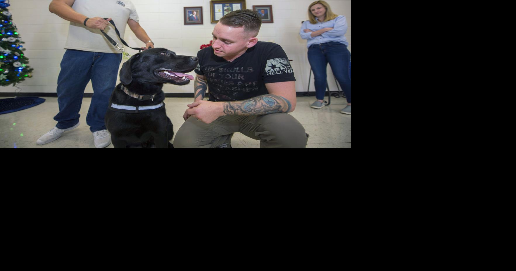 Inmates in Angola's new PAWS program train service dogs for veterans ...