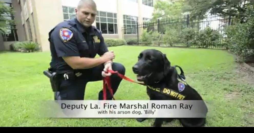 Video: La. Fire Marshal’s arson dog training team | News | theadvocate.com