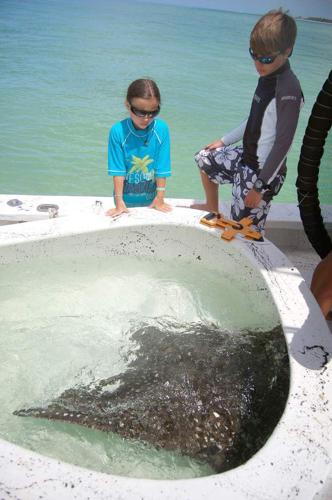Baton Rouge siblings honored for helping marine animals affected by BP ...