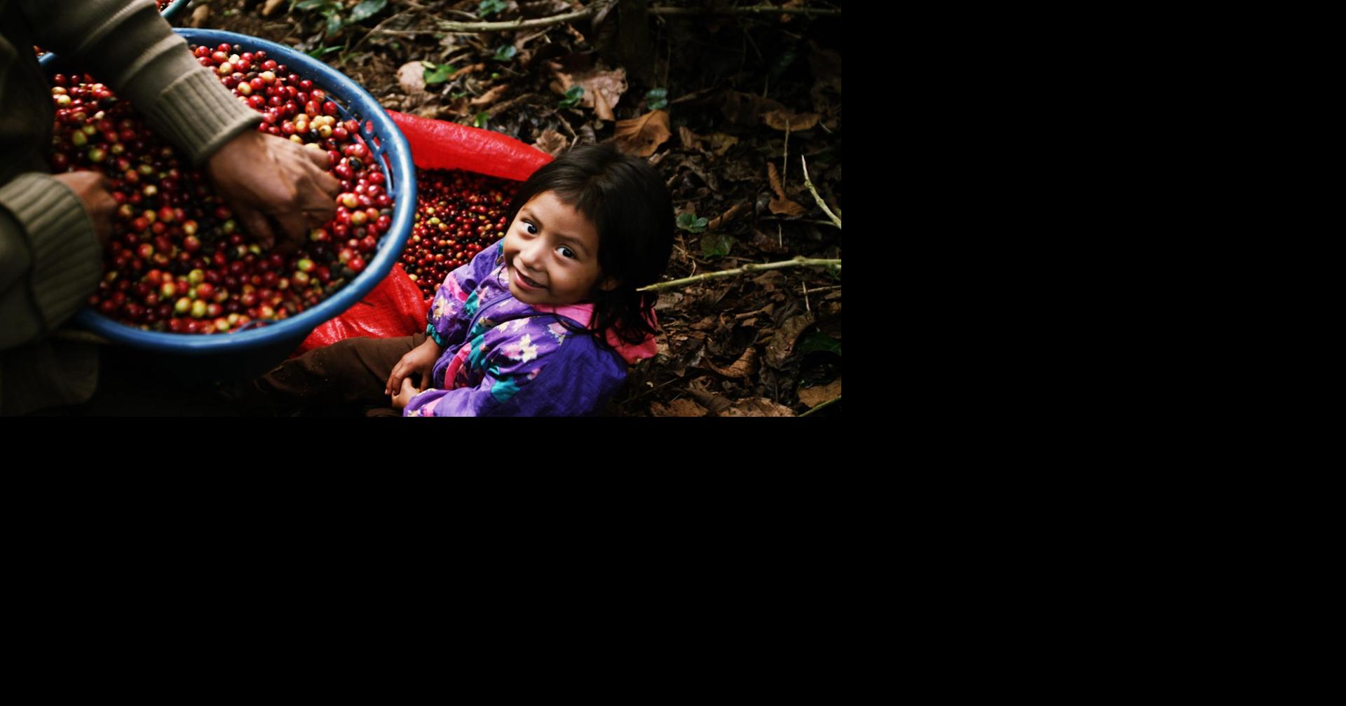 Community Coffee documentary looks back at 100 years | Food/Restaurants ...