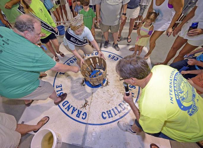 Photos: Grand Isle Tarpon Rodeo Day 4 | News | theadvocate.com