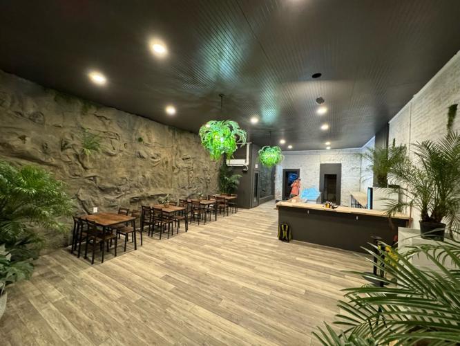 Sloth ice cream shop opening near Gulfport, Mississippi | Entertainment ...