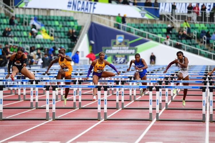 LSU track dominates with 14 wins in Battle on the Bayou | LSU ...