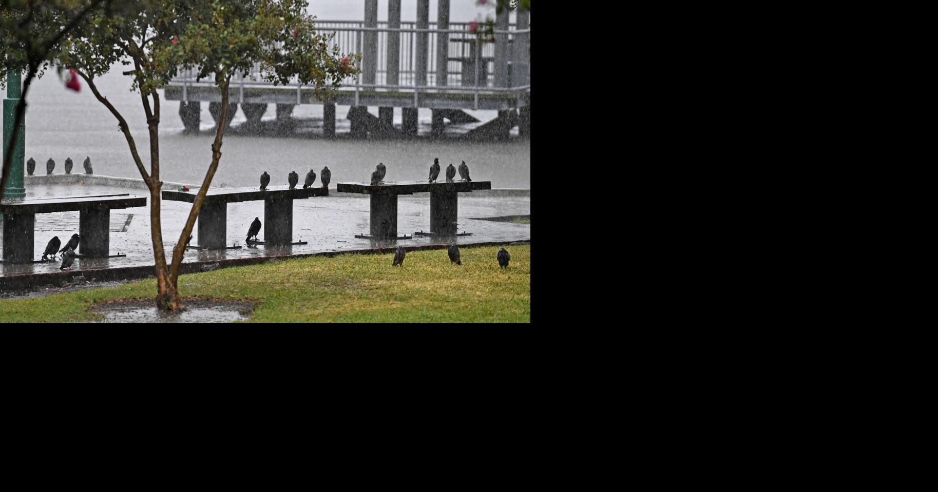 Baton Rouge metro sees glimpse of Hurricane Laura impacts following ...