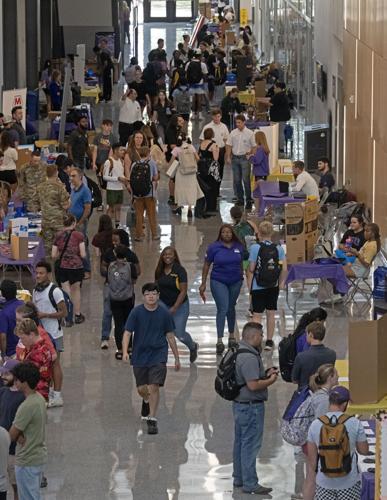 Engineering, business popular at LSU; humanities shrinking | Education ...