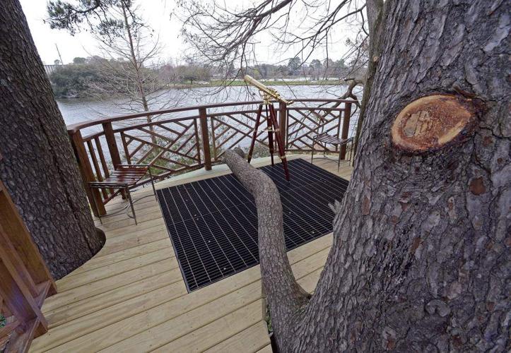 Raising Cane’s founder Todd Graves turned to ‘Treehouse Masters’ for ...